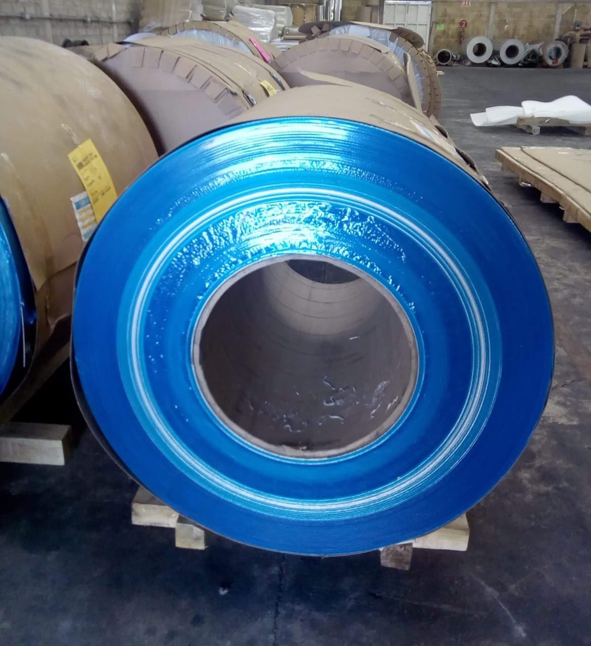 Mi Negocio Sur Jalisco